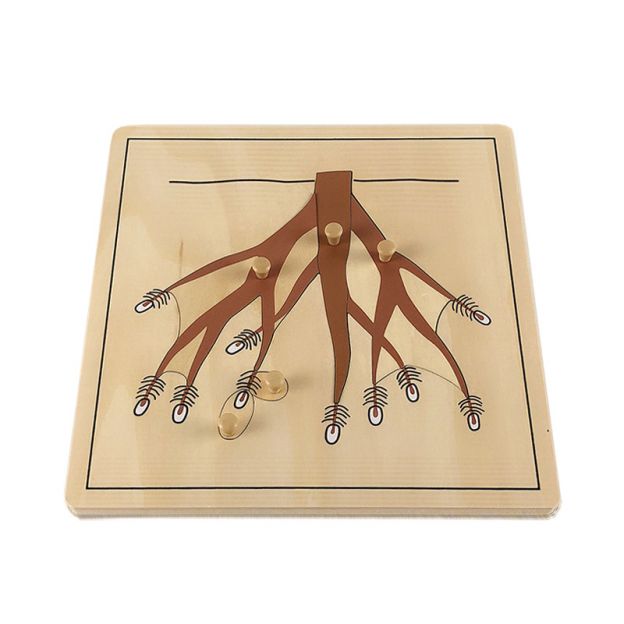 Root Puzzle – Monte Lion